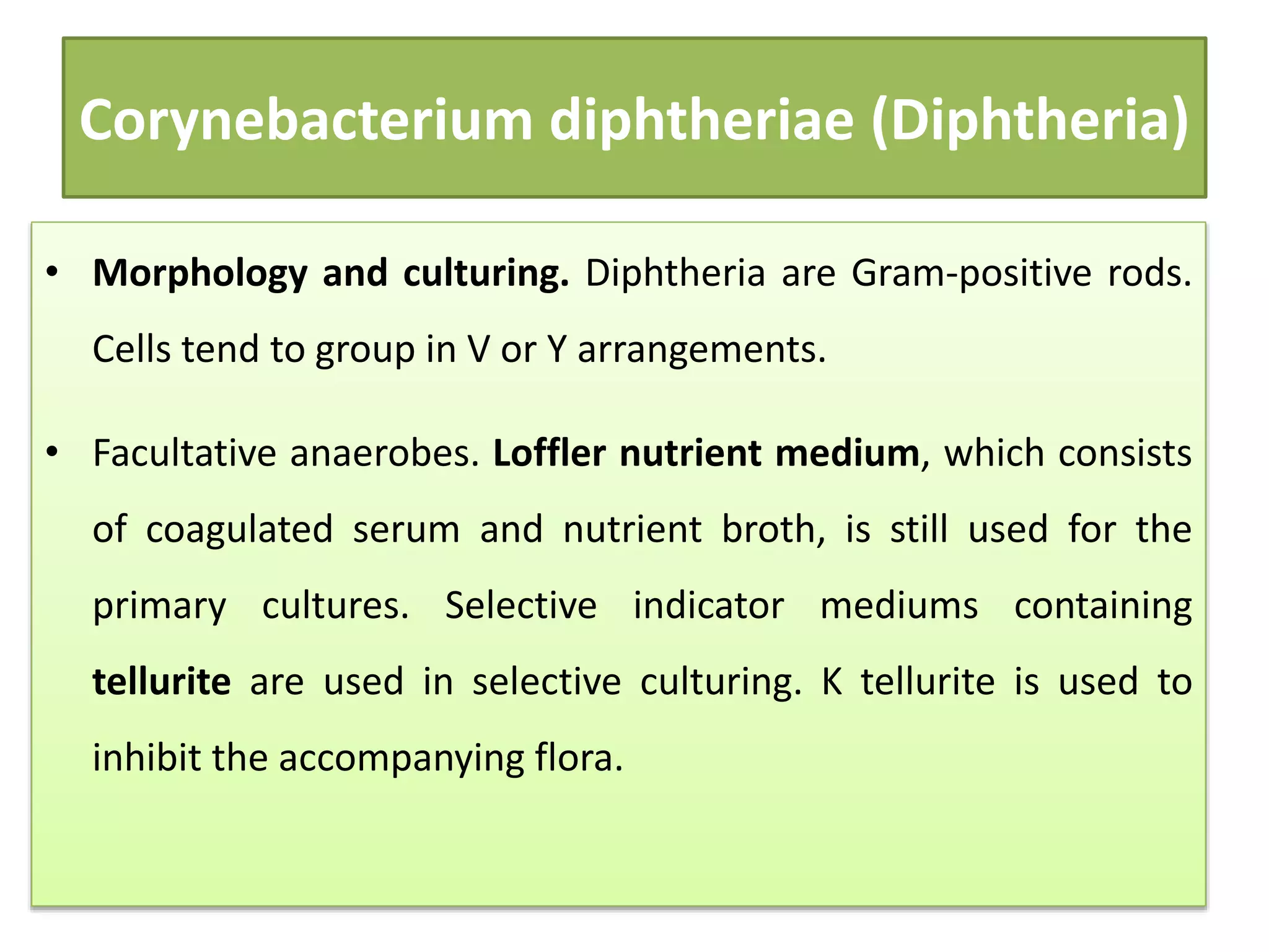 Diphtheria and llisteria - 3.pptx