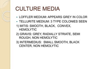 DIPHTHERIA BY D.pptx how to diagnosis and clinical presentation | PPT