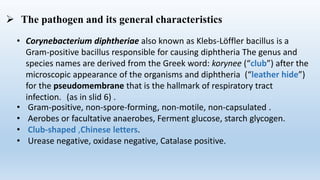 Diphtheria microbiology presentation . | PPTX