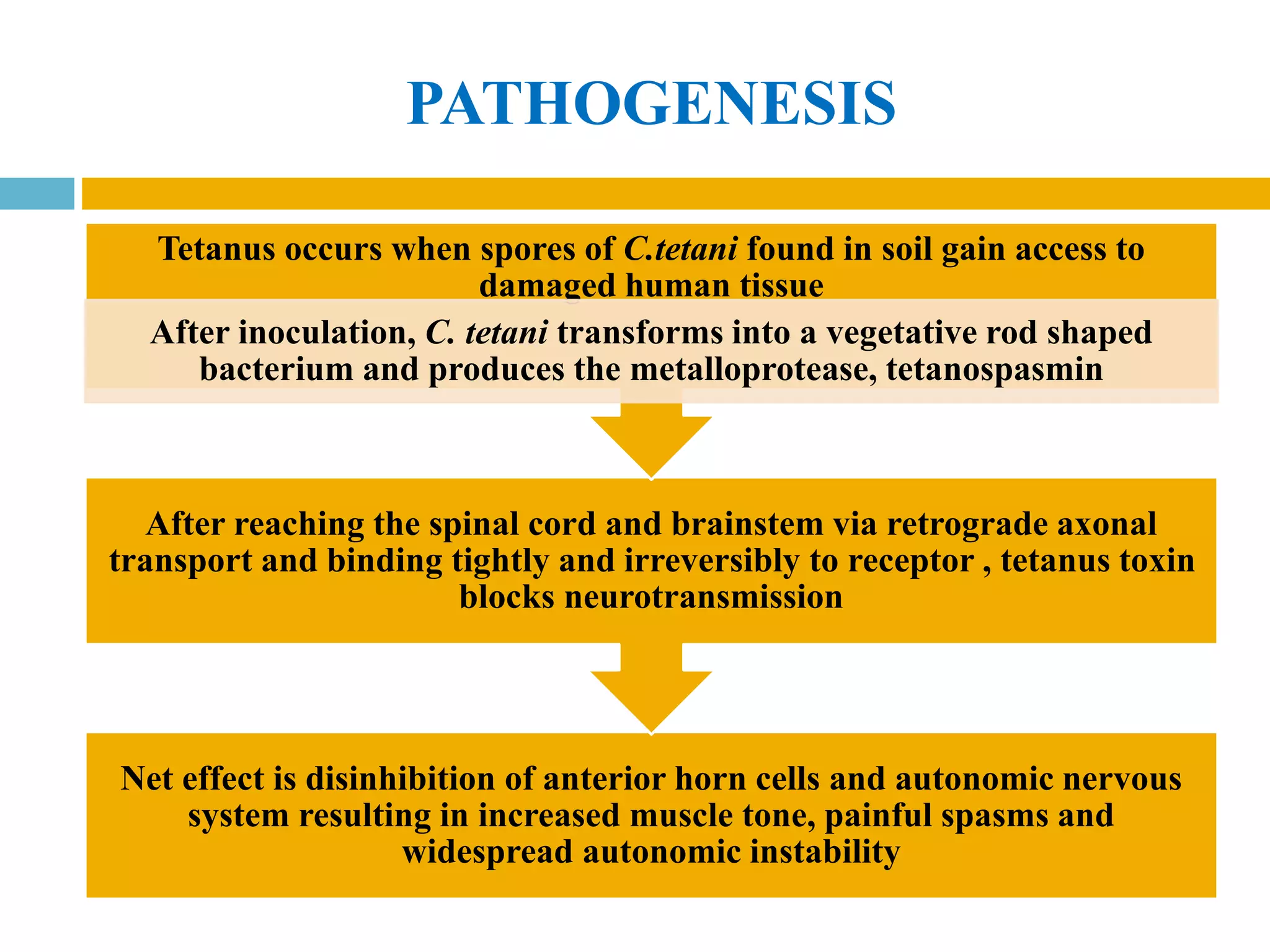 Diphtheria_Pertussis_tetanus.ppt