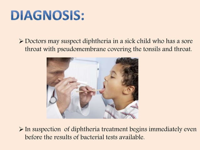 Diphtheria ppt | PPTX | Ear, Nose and Throat Conditions | Diseases and ...