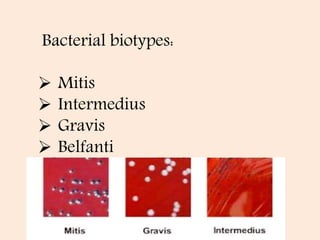 Diphtheria ppt | PPTX
