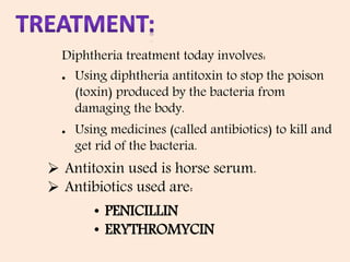 Diphtheria Antibiotics