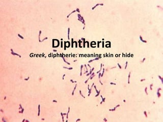 Diphtheria WHO.ppt