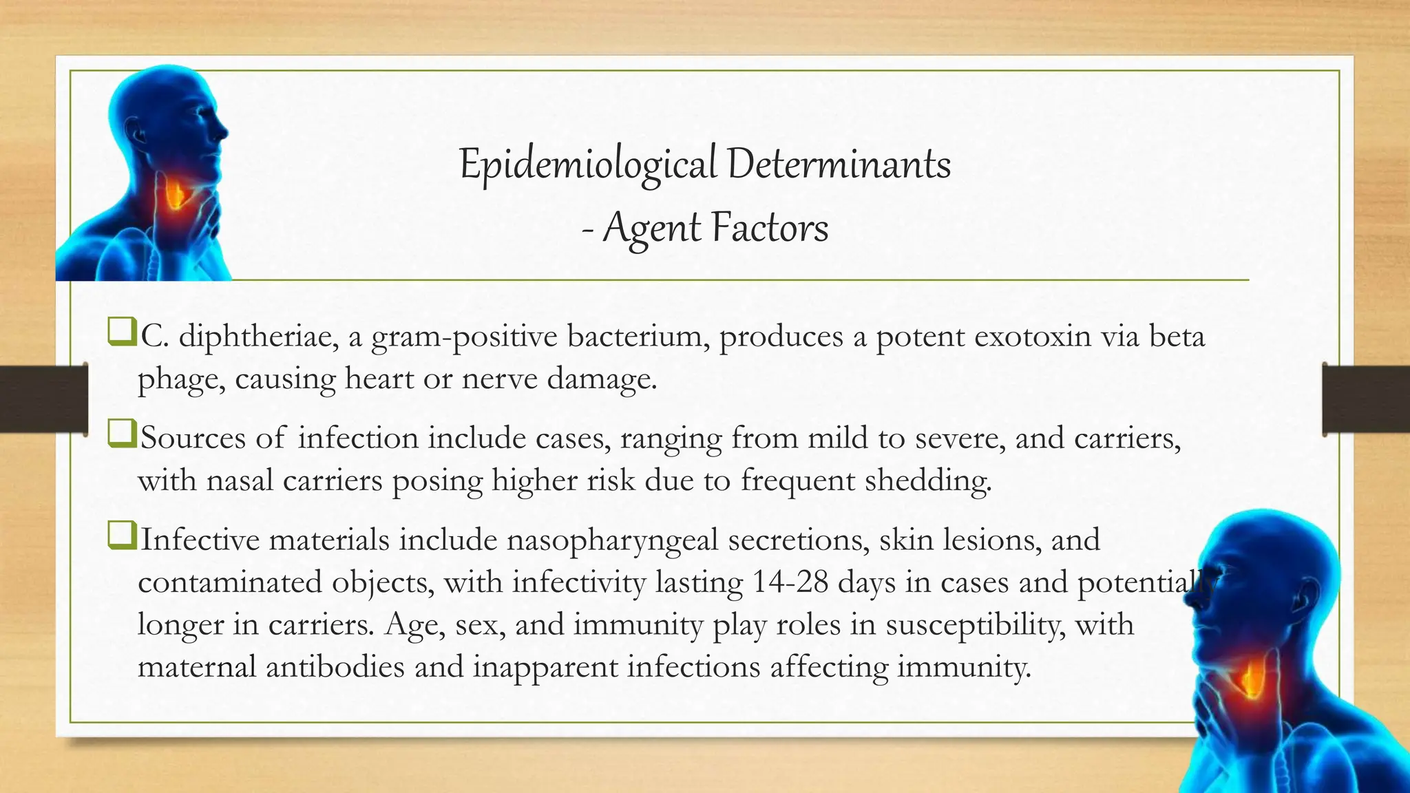 Diphtheria :- acute bacterial infection caused by Corynebacterium ...