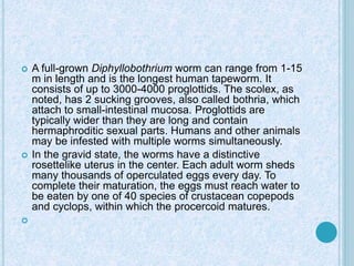 Diphyllobothriasis PPT | PPTX