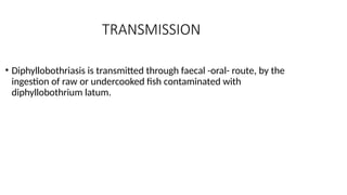 DIPHYLLOBOTHRIUM LATUM.pptx. . | PPTX