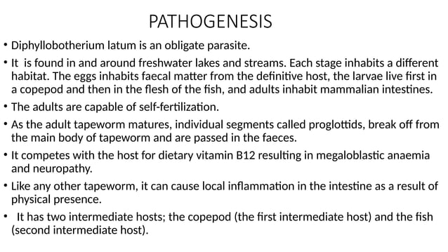DIPHYLLOBOTHRIUM LATUM.pptx. . | PPTX
