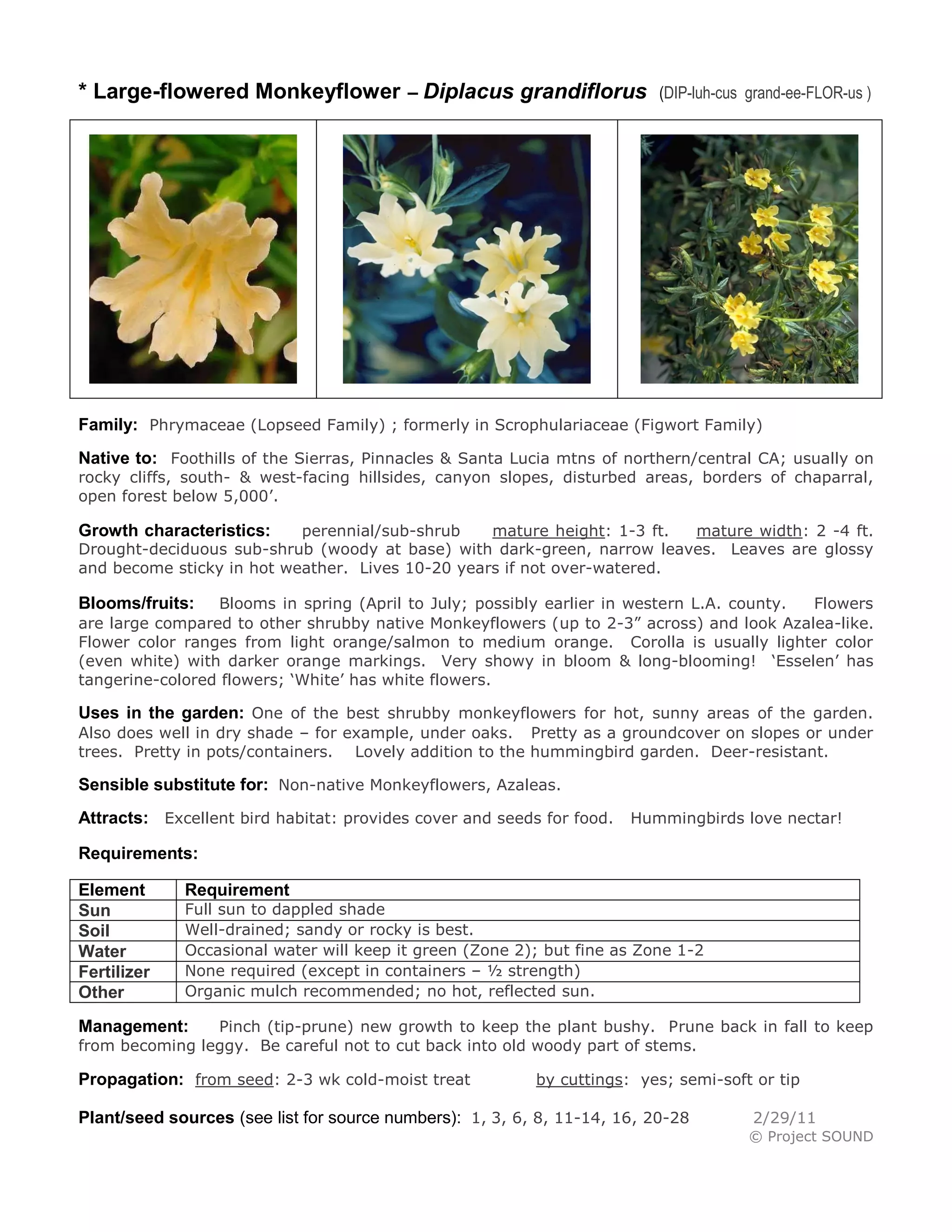 Diplacus grandiflora | PDF