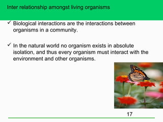 Diploma. ii es unit 1 environment ecology and ecosystem | PPT