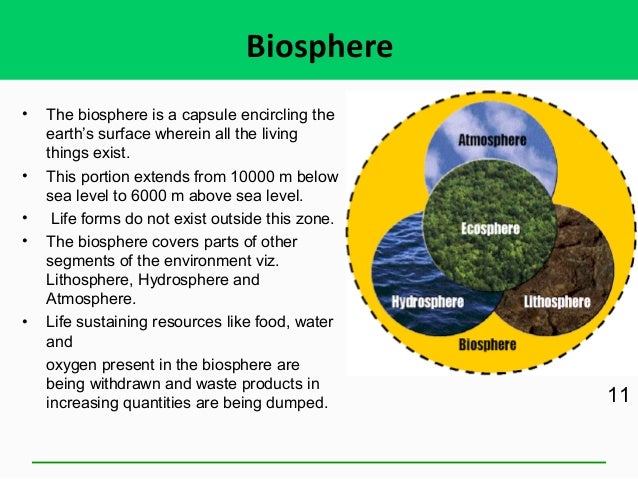 Diploma. ii es unit 1 environment ecology and ecosystem