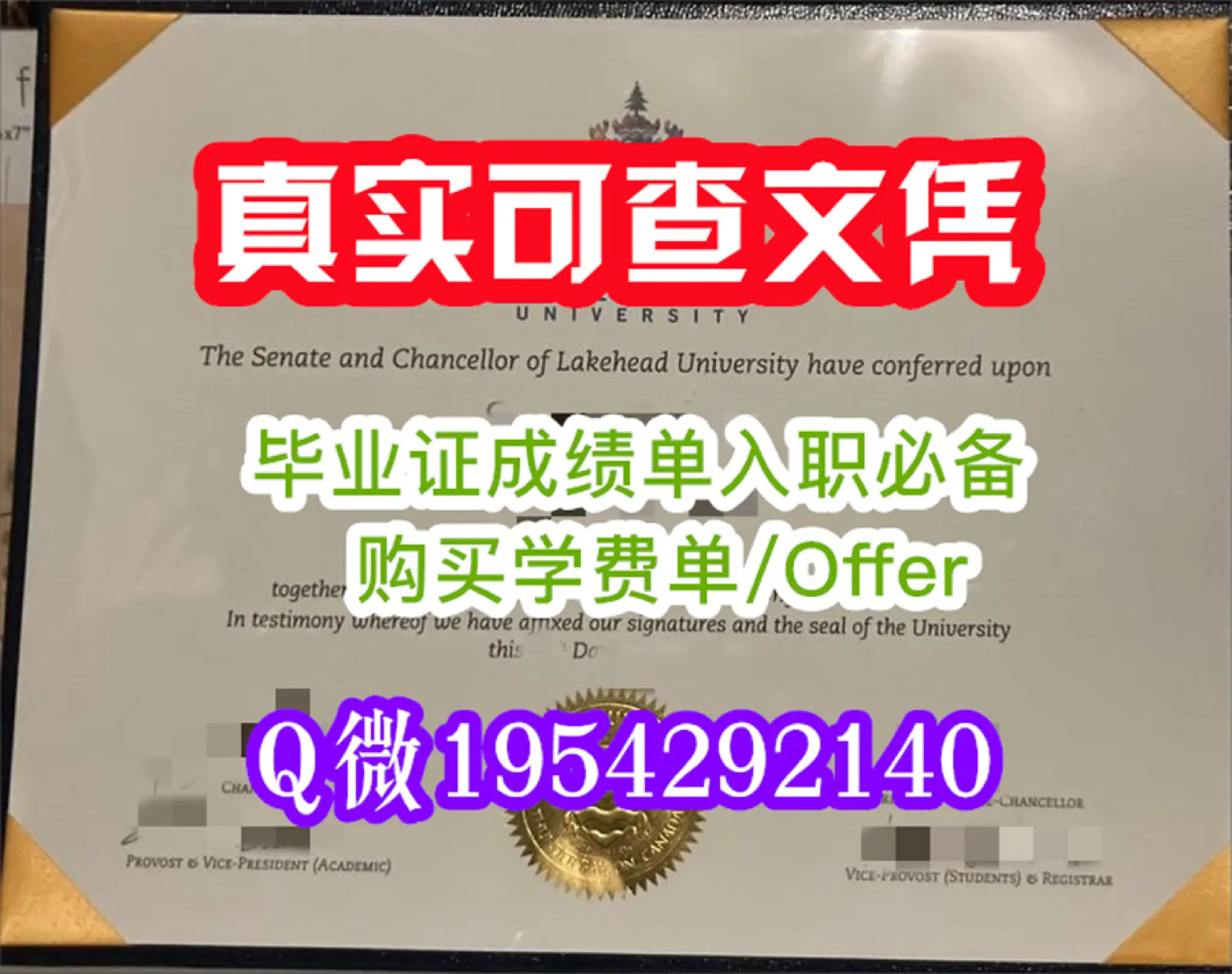 24小时办MAU文凭MAU毕业证【q微1954292140】蒙特埃里森大学毕业证蒙特埃里森大学成绩单MAU学费单:加拿大蒙特埃里森大学学历认证 ...