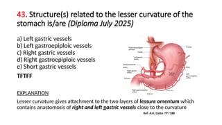 2025 anatomy.pptx anatomy anatomy anatomy | PPTX