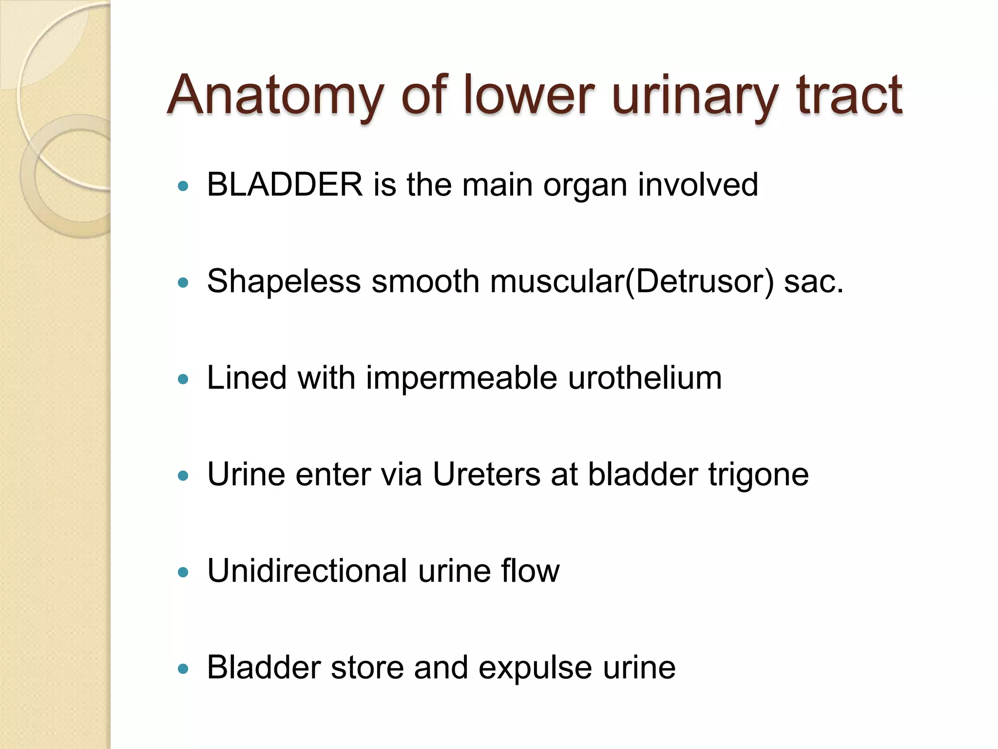 Urinary incontinence management | PPT