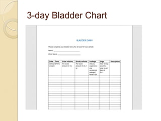 Urinary incontinence management | PPT