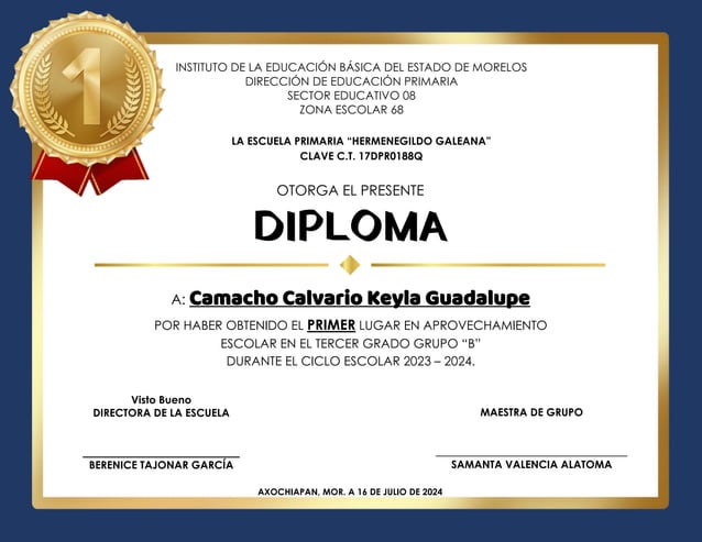 Diplomas de primer, segundo y tercer lugar | PDF