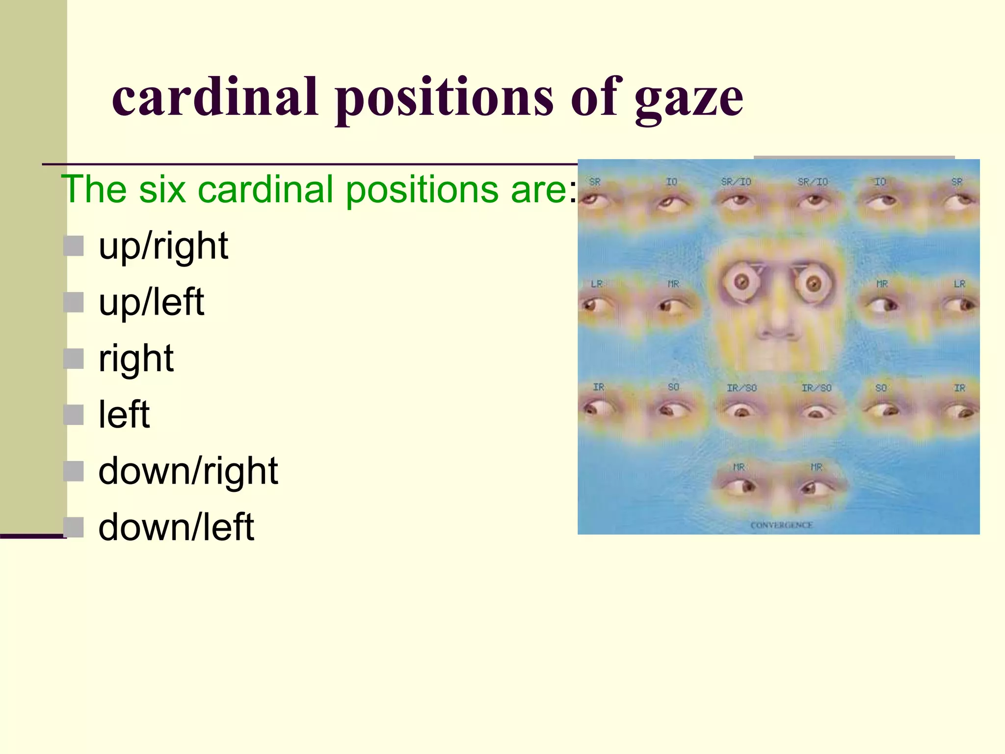 Diplopia 1 | PPT