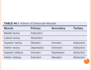 Diplopia approach | PPTX