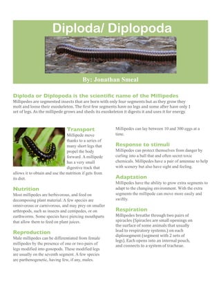 Diplopoda | PDF