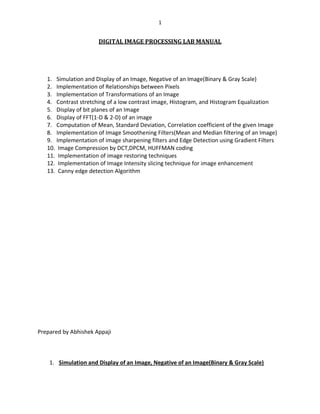 DIP_Manual.pdf