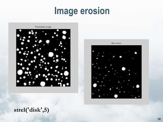 Dip Morphological | PPT