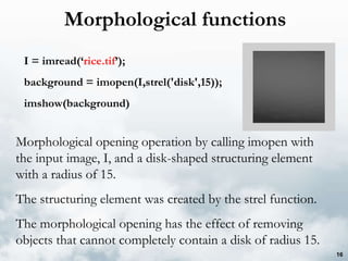 Dip Morphological | PPT