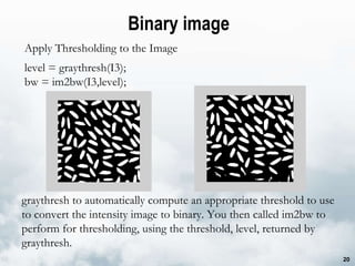 Dip Morphological | PPT