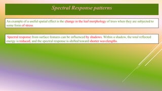 ENERGY INTERACTIONS WITH EARTH SURFACE FEATURES | PPTX