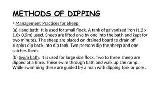 DIPPING AND SHEARING IN SHEEP AND GOAT..pptx