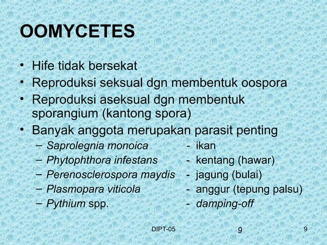 Dipt 05 patogen | PPT | Free Download