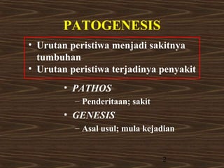 Dipt 06 patologi | PPT