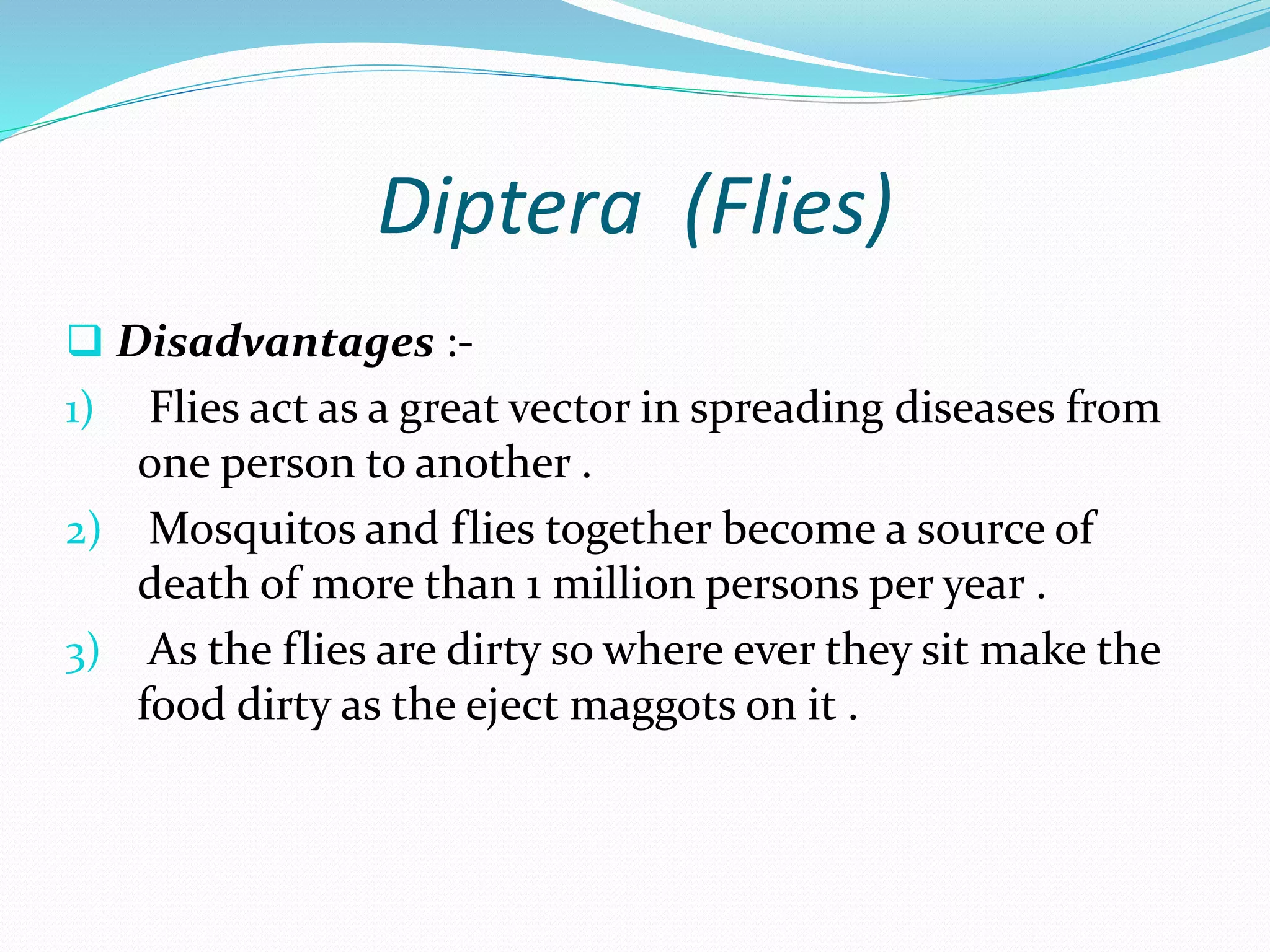 Diptera (Flies).pptx