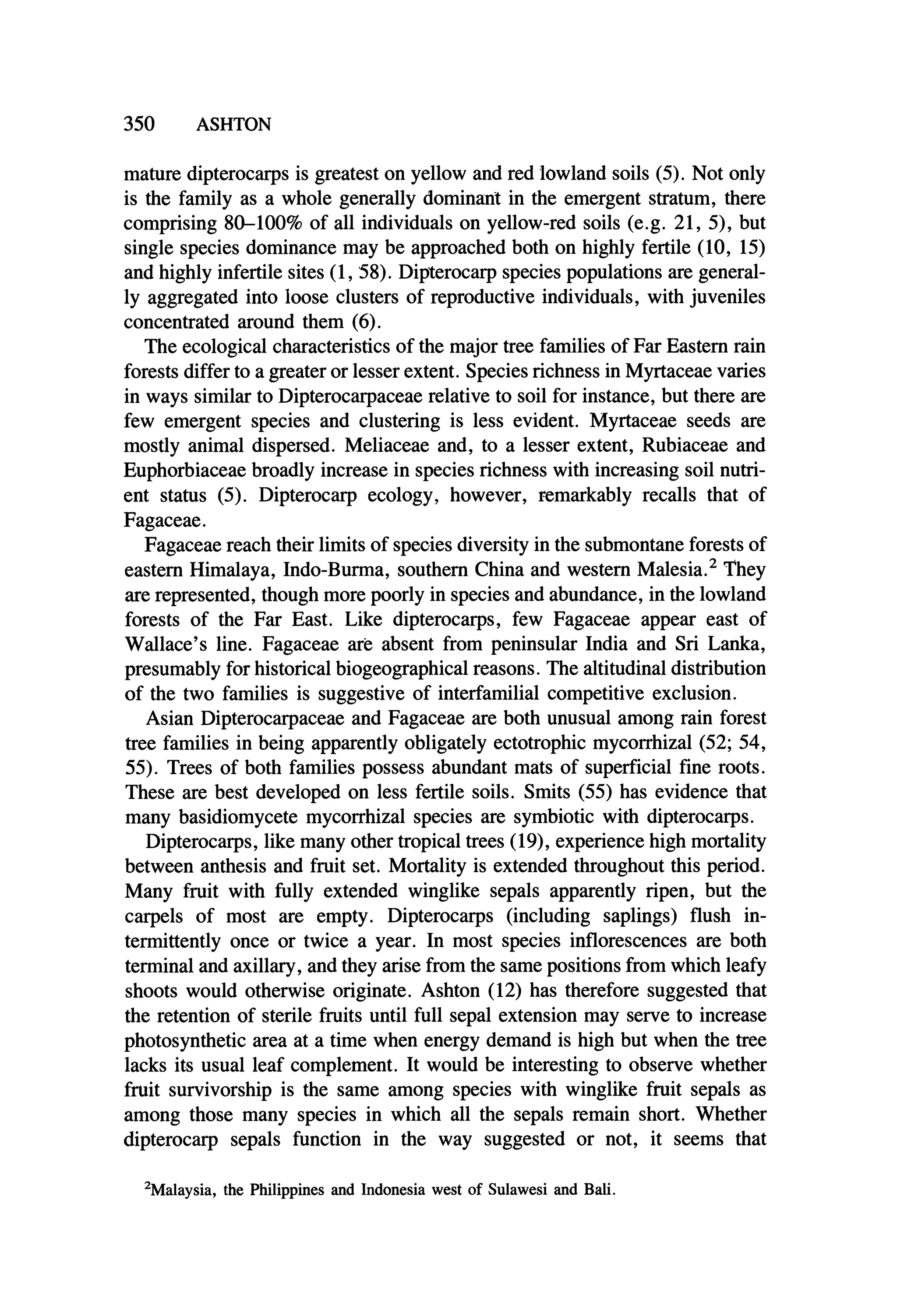 Dipterocarp | PDF