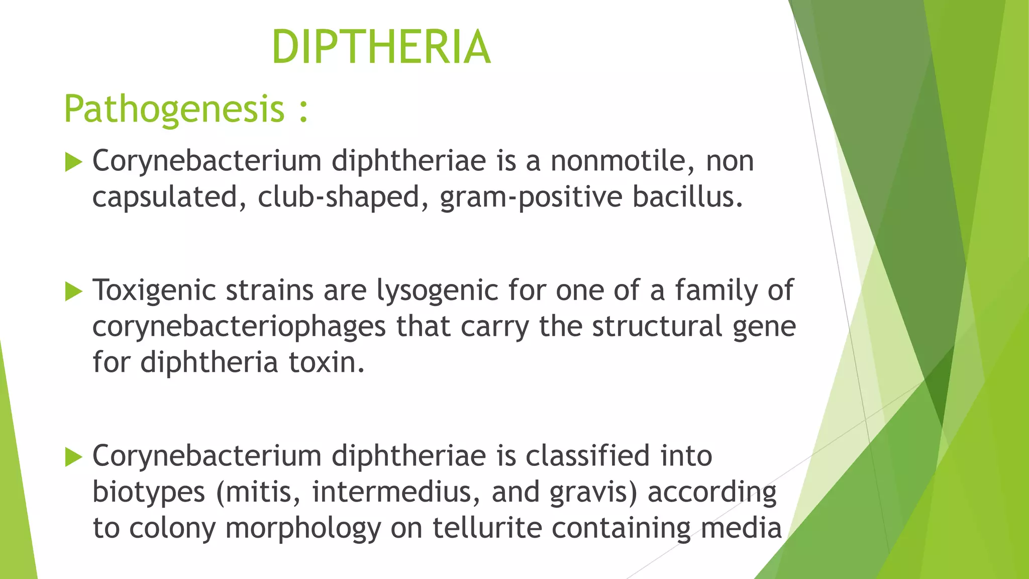 Diptheria ,Pertusis, Tetanus | PDF