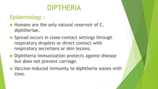 Diptheria ,Pertusis, Tetanus | PDF