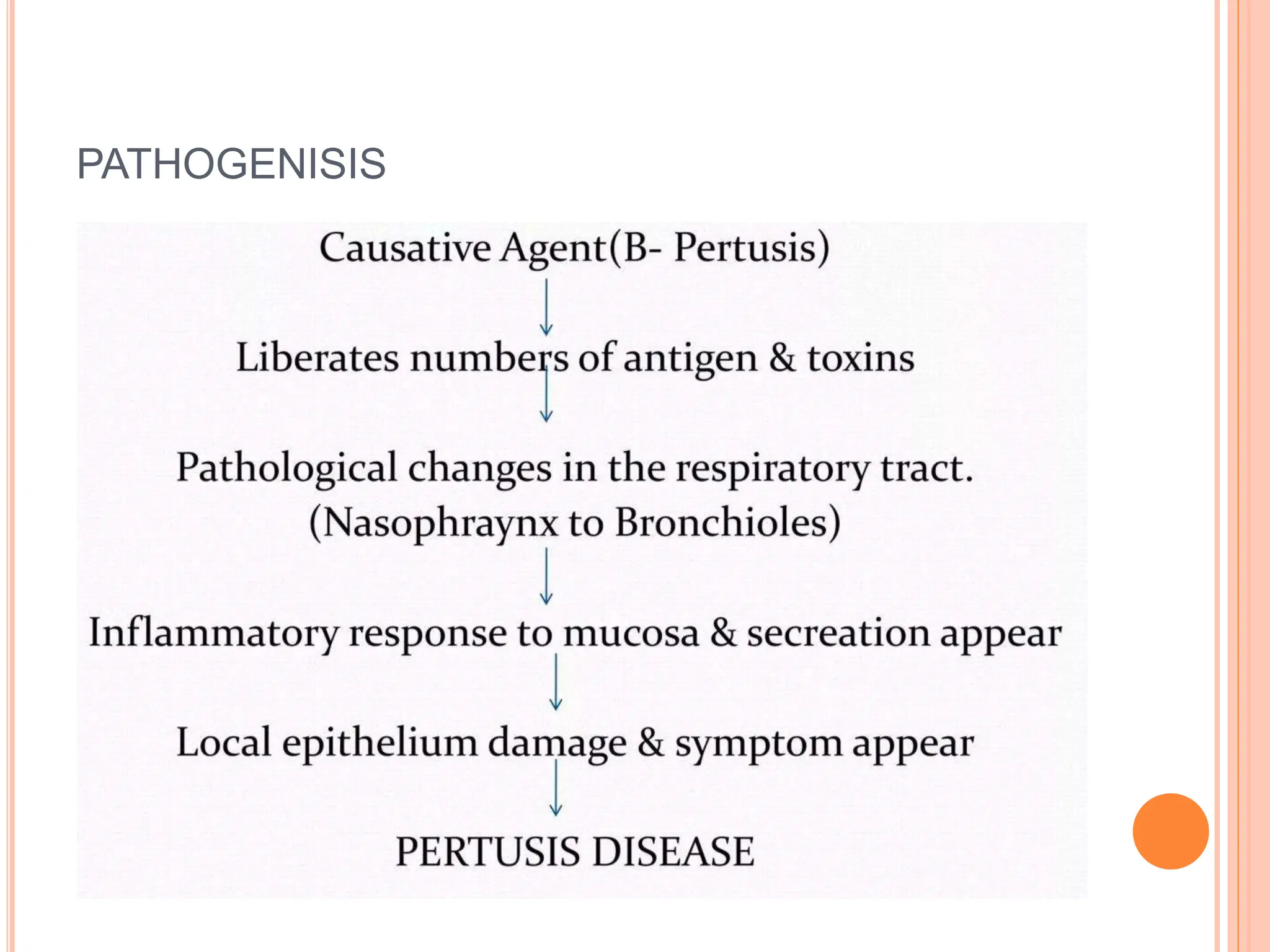 DIPTHERIA tetanus pertussis infection,............................................ | PPTX