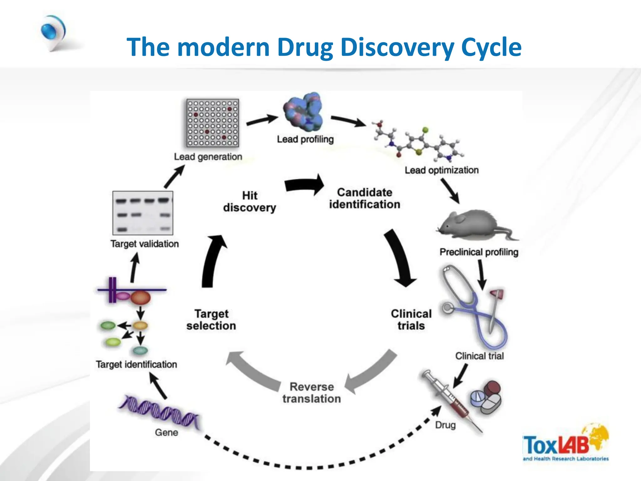 Drug discovery proccess in a nutshell v1 | PDF