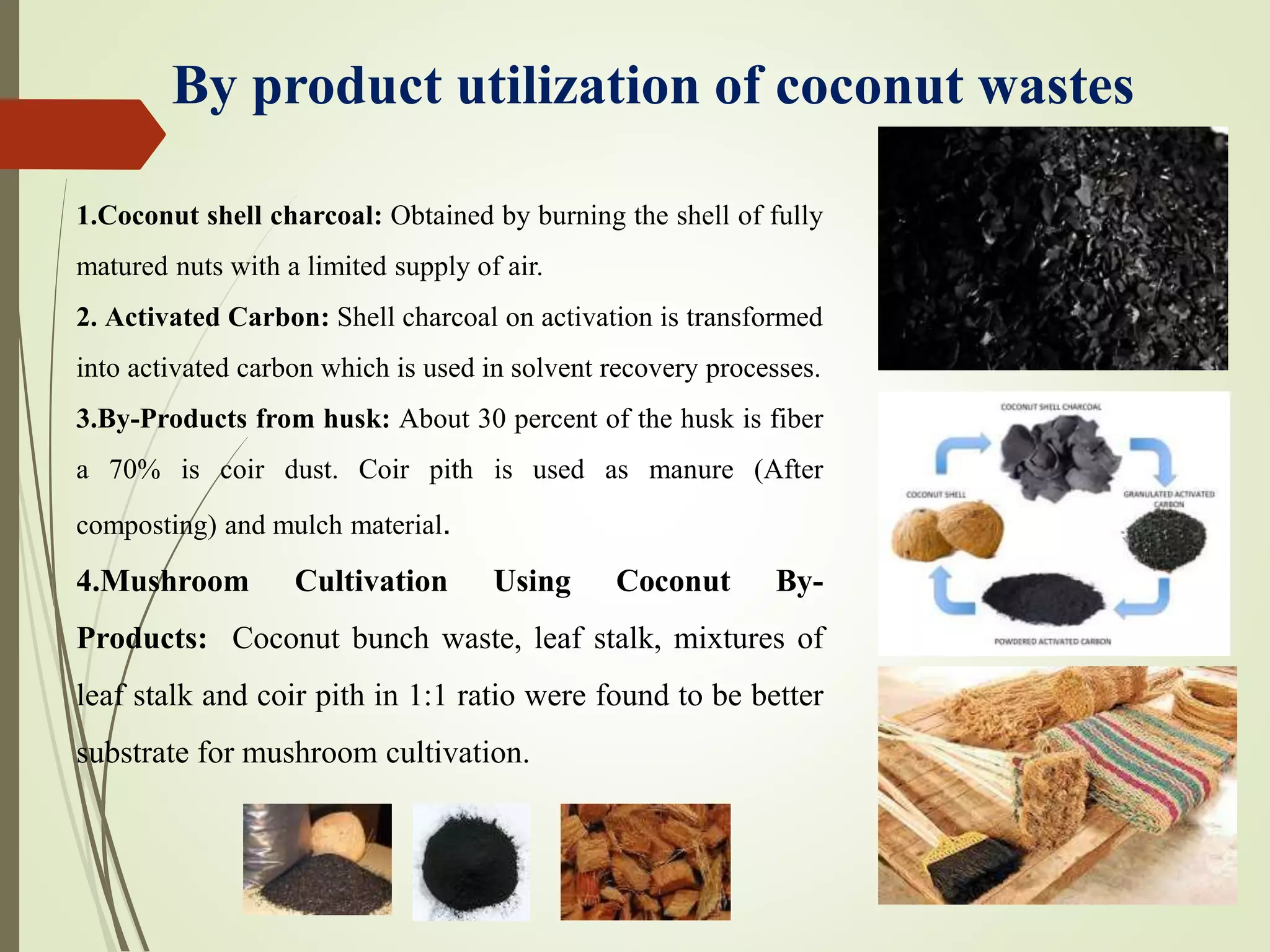 Coconut processing | PPTX