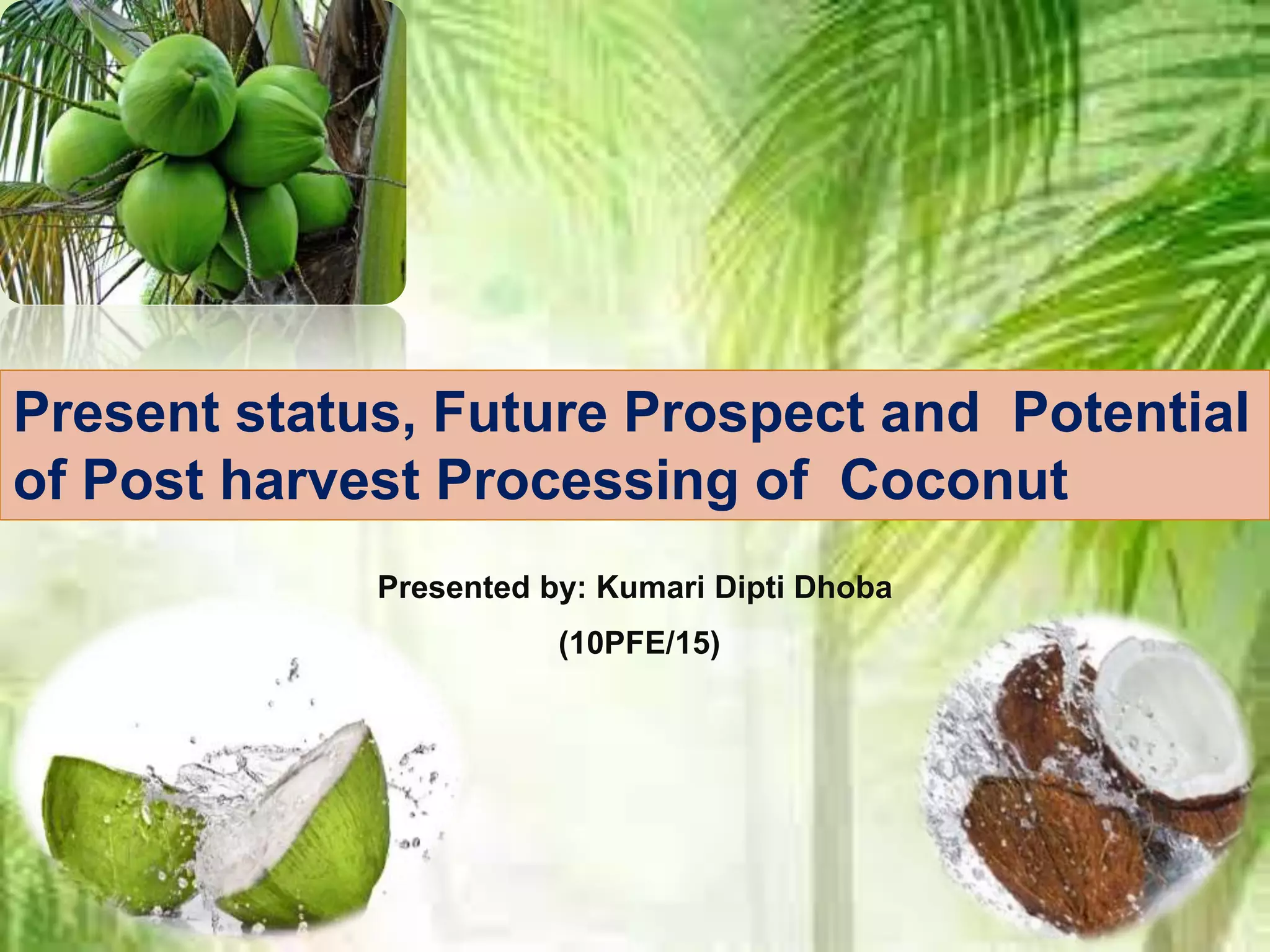 Coconut processing | PPT