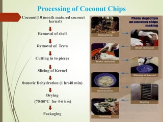 Coconut processing | PPTX