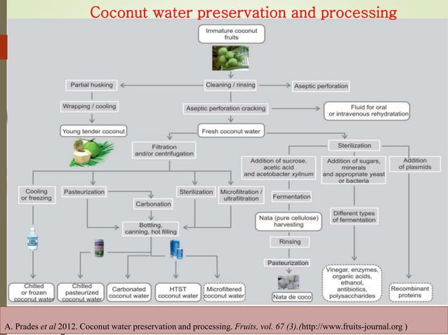 Coconut processing | PPTX | Food & Drink