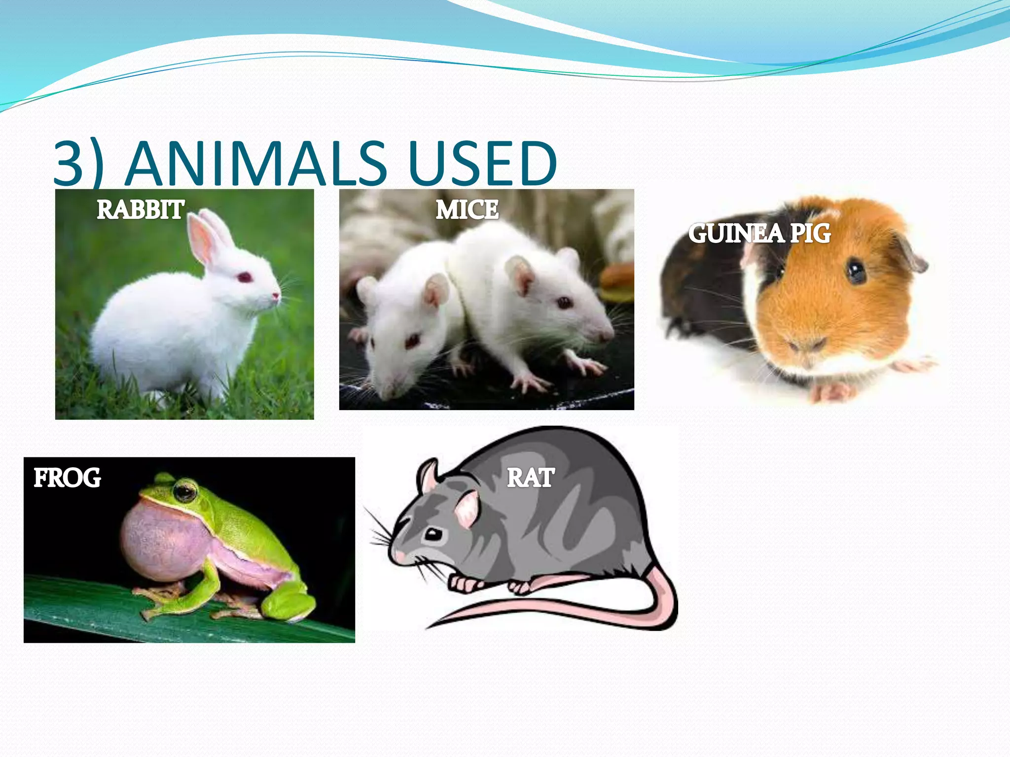 Advantages of Animal Handling | PPT