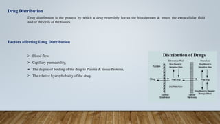 Drug Design for Pharmacokinetics Problem | PPTX | Chemistry | Science