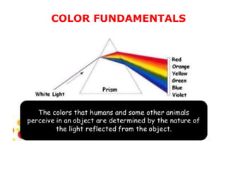 Image color models | PPT