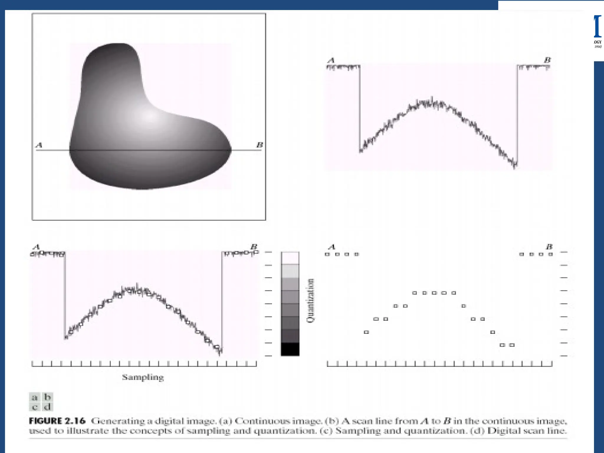 Introduction to Medical Imaging Applications | PPTX
