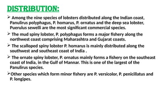 prospect and status of lobster . coastal aquaculture and mariculture ...