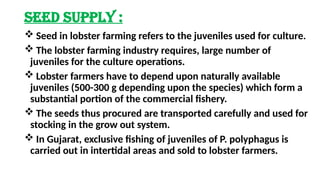 prospect and status of lobster . coastal aquaculture and mariculture | PPTX