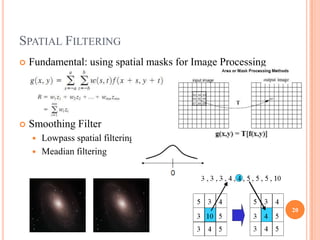 Digital Image Processing Fundamental | PPTX
