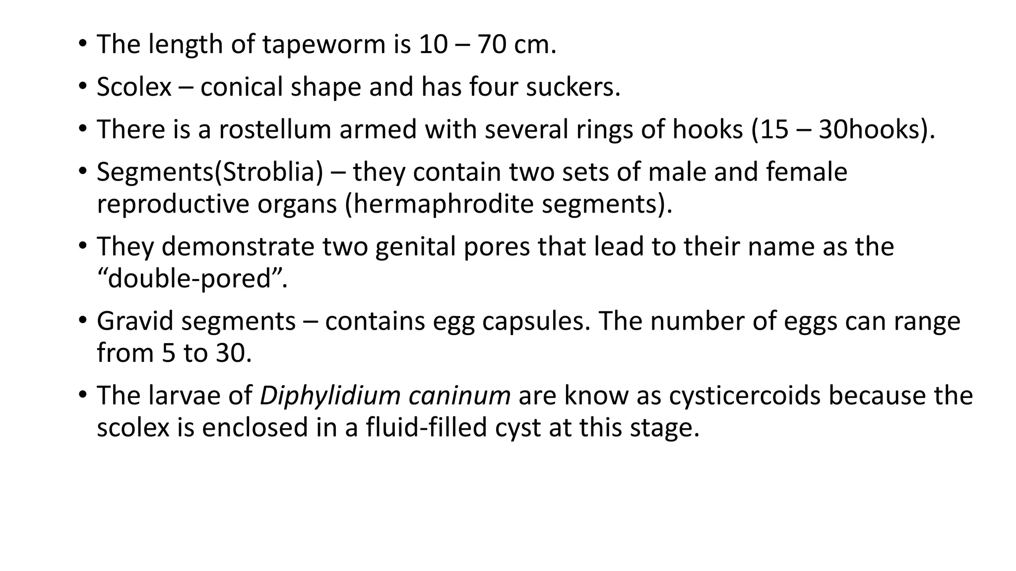 Dipylidium caninum.pptx