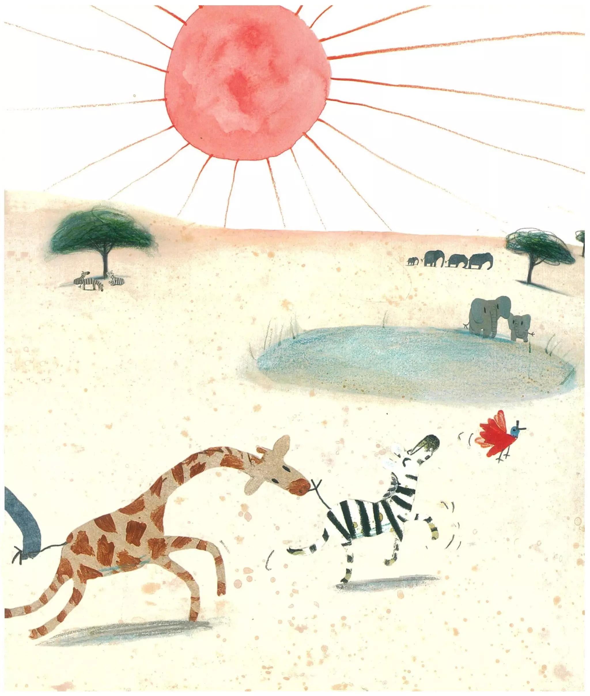 The Zebra Who Ran Too Fast | PDF